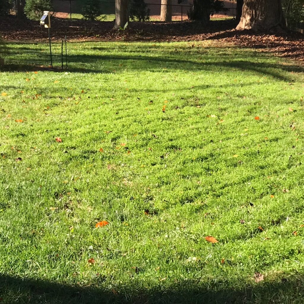 Get A Quote - The Sussex Lawn Turf Laying Co